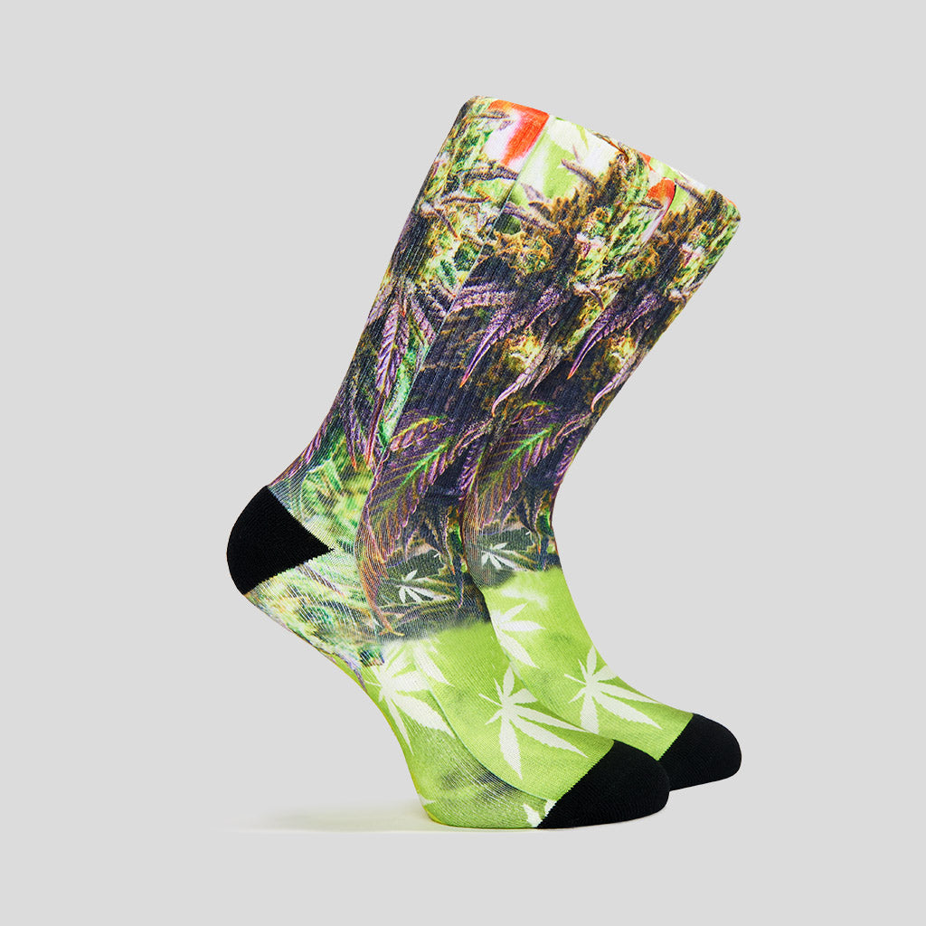 Good Buds Socks – PSD New Zealand